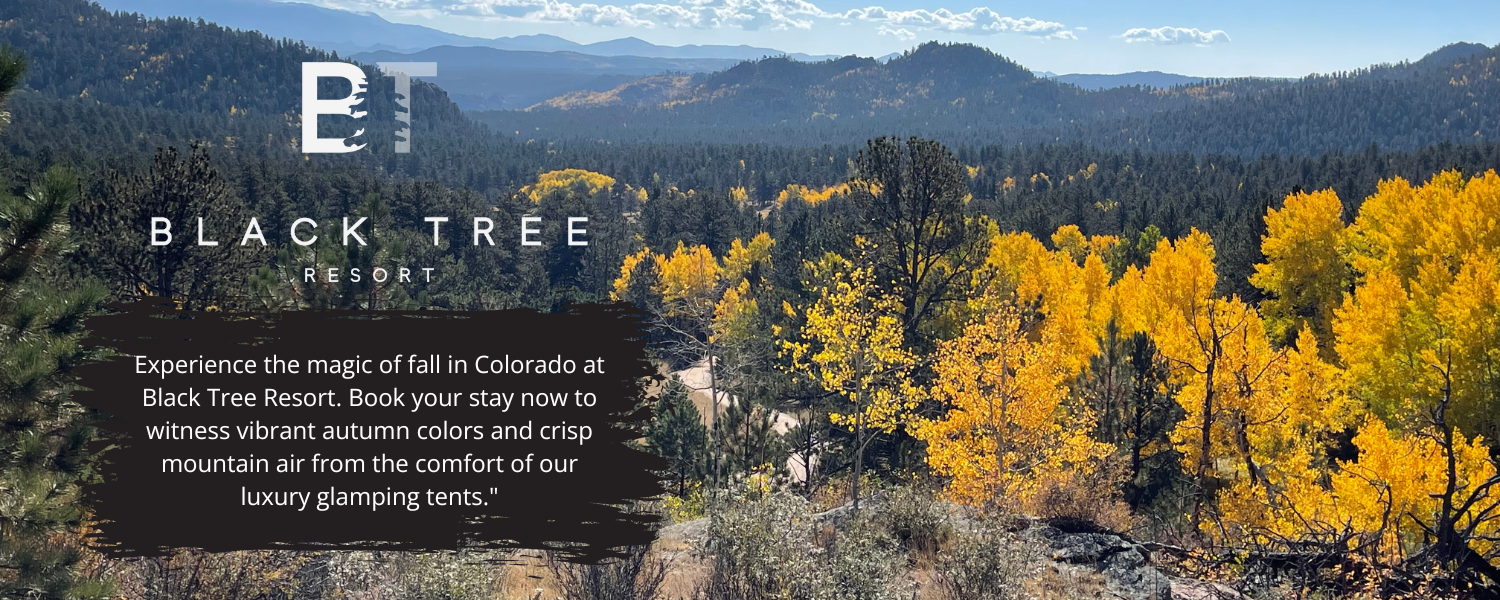 Black Tree Resort | Luxury Glamping in Colorado