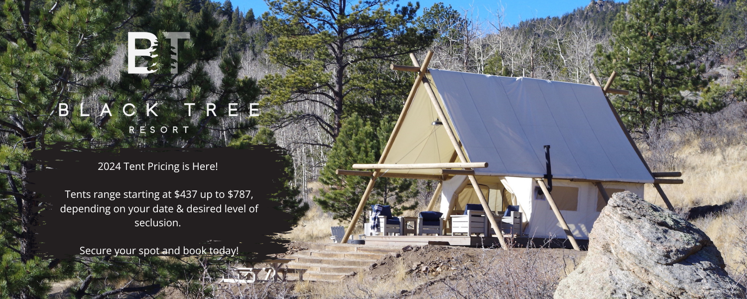Black Tree Resort | Luxury Glamping in Colorado